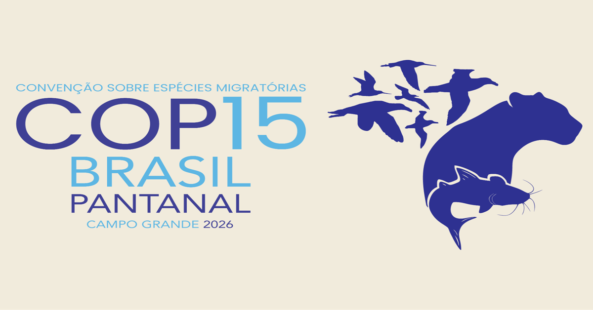 COP15 no Pantanal: entenda a Conferência que debate a conservação das ...